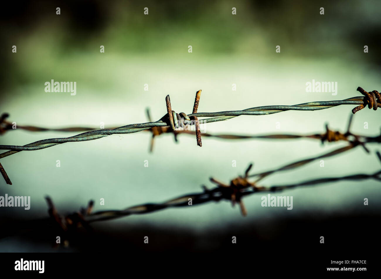 views through barbed wire fence Stock Photo - Alamy