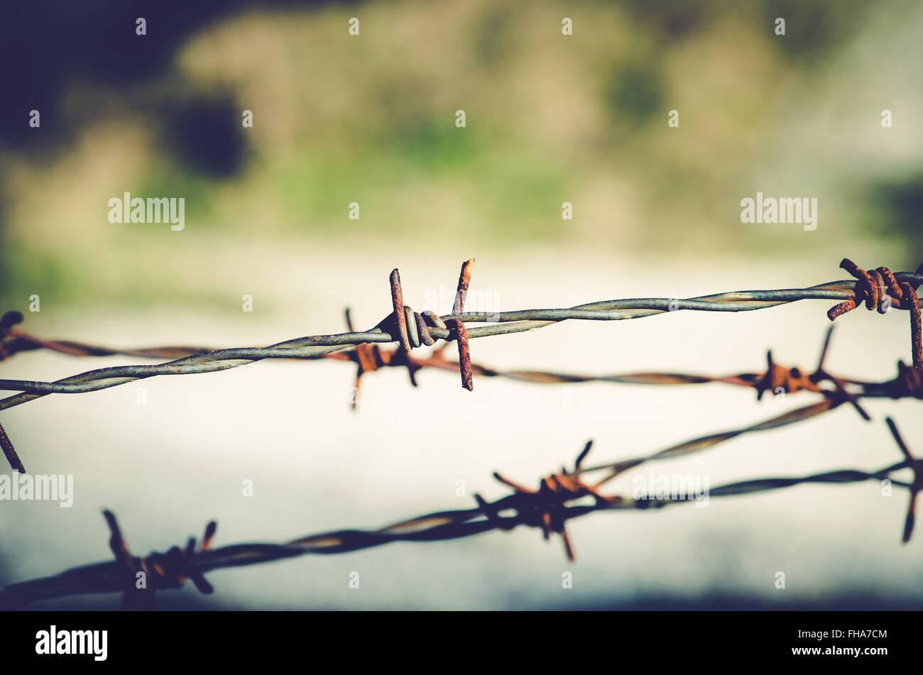 rusty steel barbed wire fence Stock Photo - Alamy