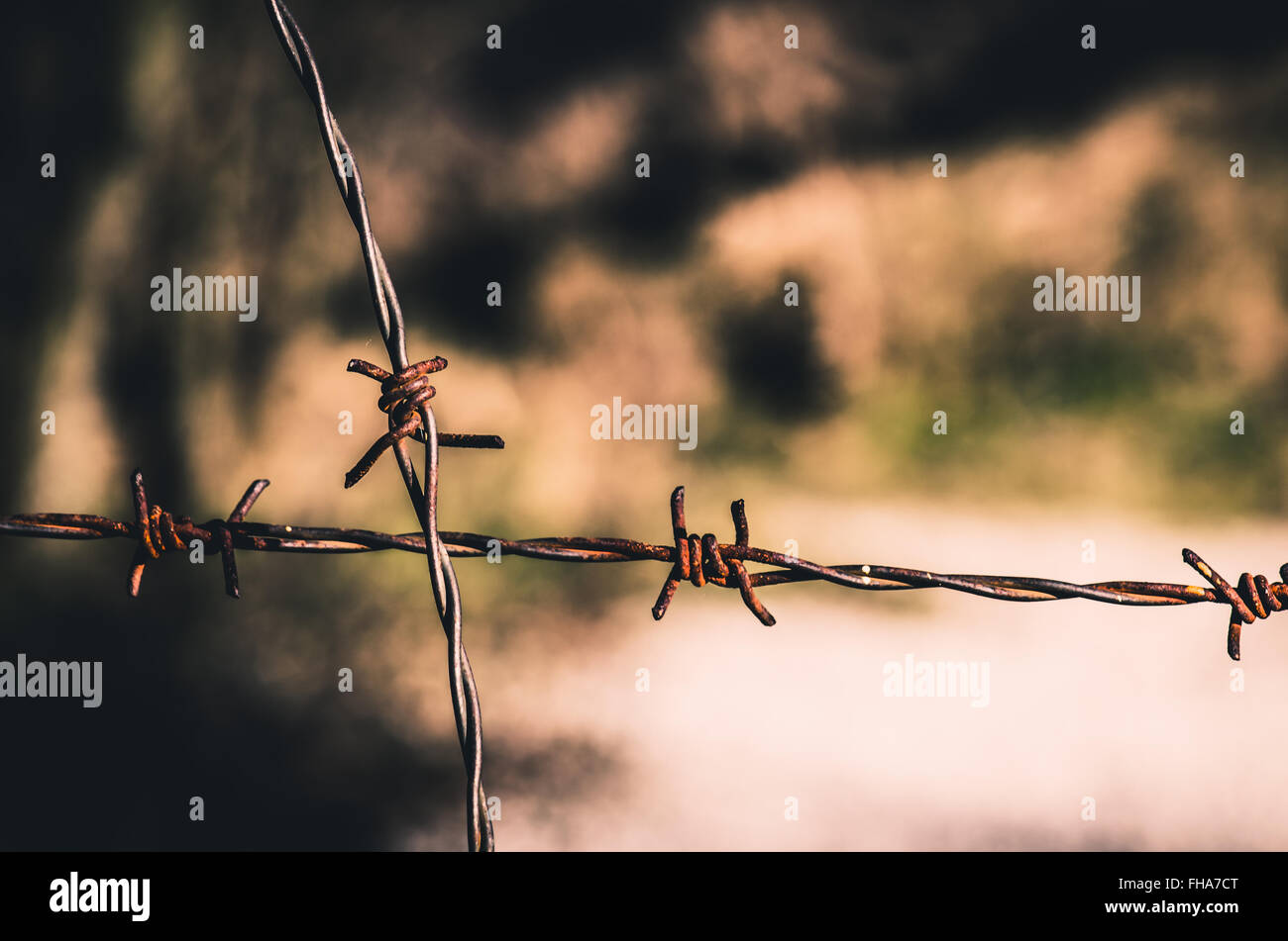rusty steel barbed wire fence Stock Photo - Alamy