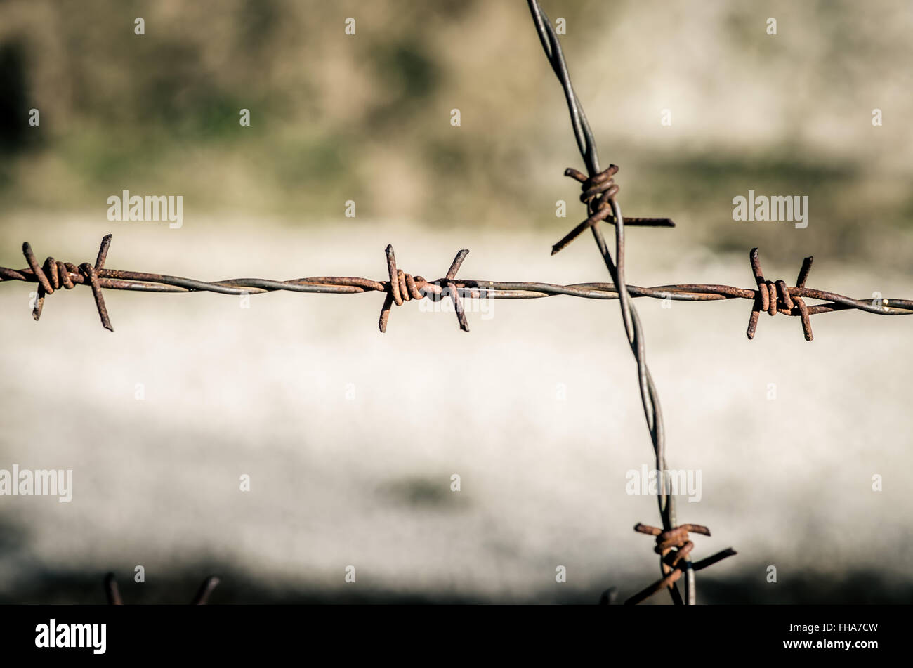 dangerous rusty steel barbed wire fence Stock Photo - Alamy
