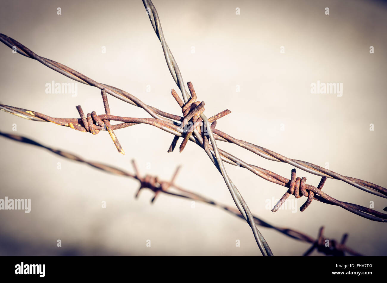 dangerous rusty steel barbed wire fence Stock Photo - Alamy
