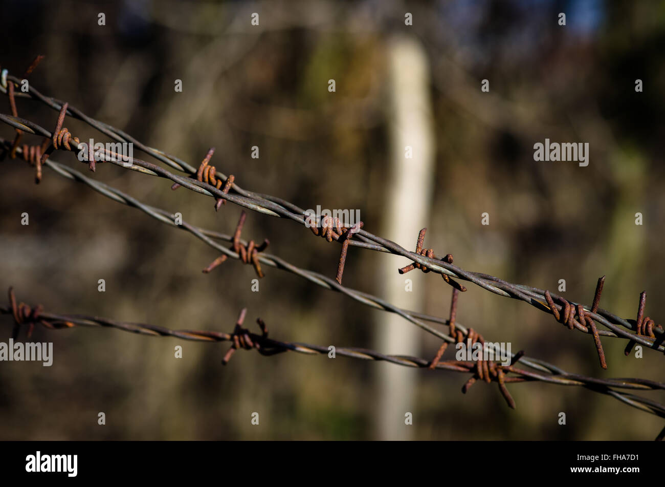 dangerous rusty steel barbed wire fence Stock Photo - Alamy