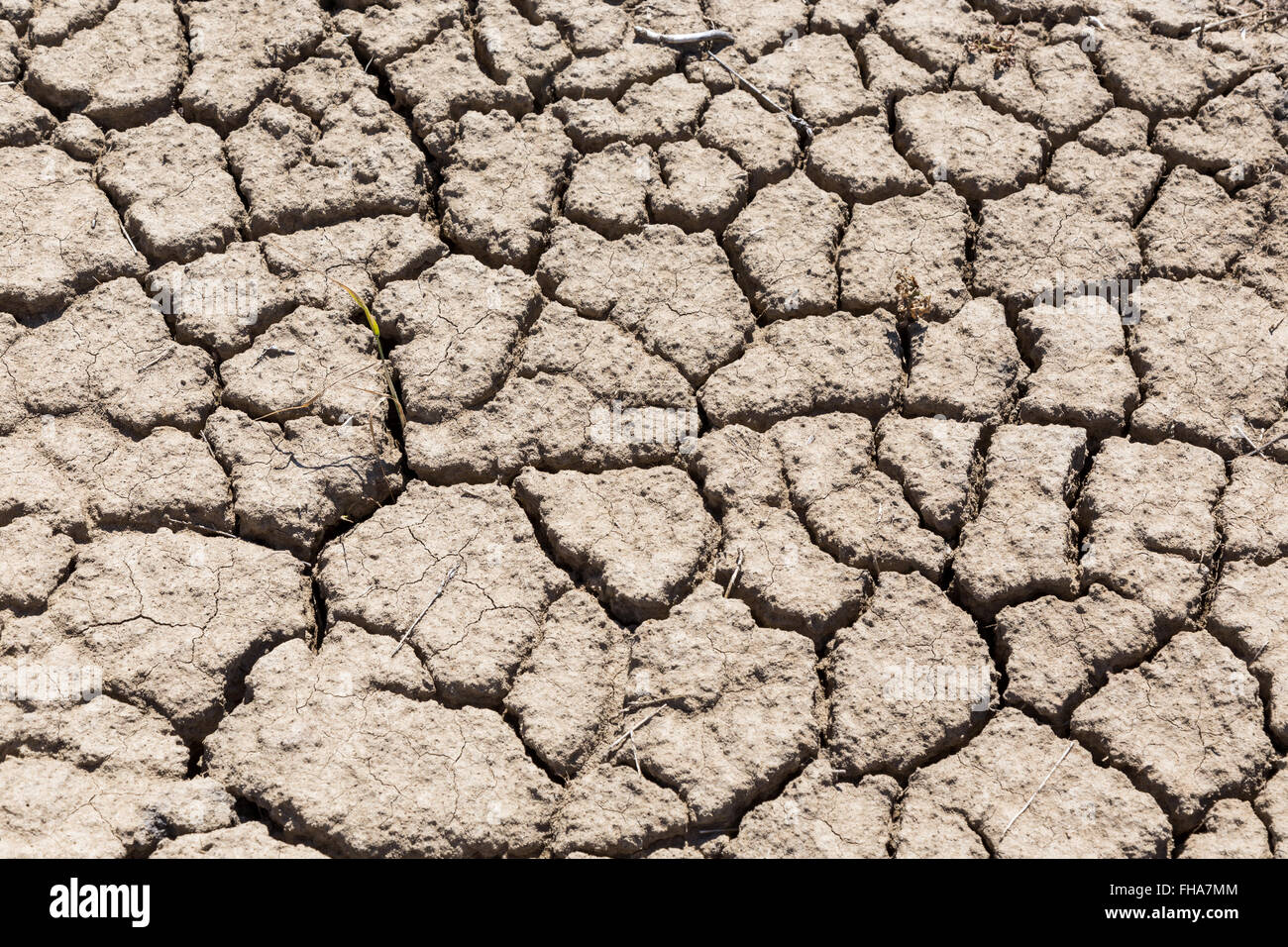 Cracked mud hi-res stock photography and images - Alamy