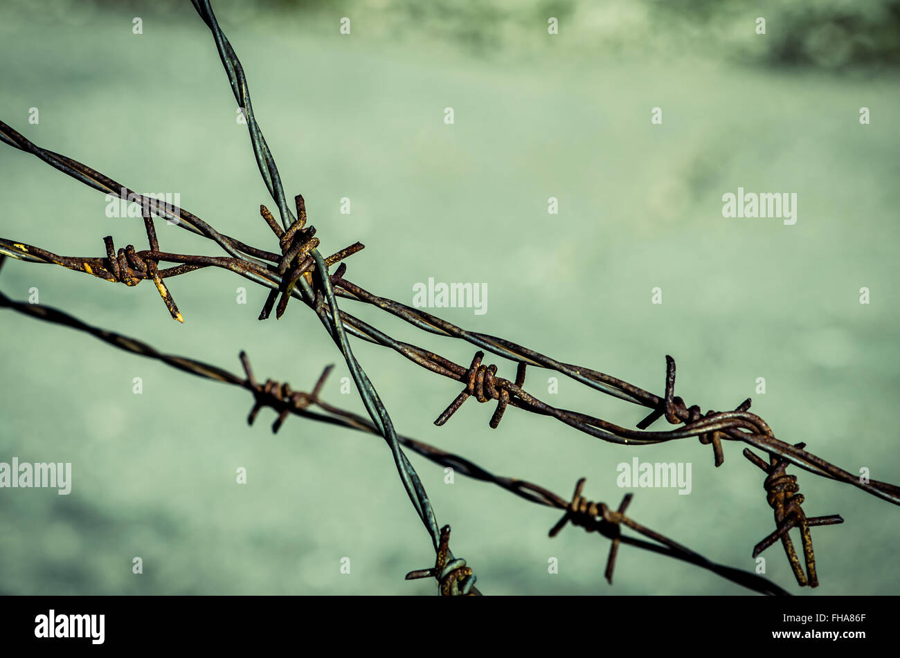dangerous rusty steel barbed wire fence Stock Photo - Alamy