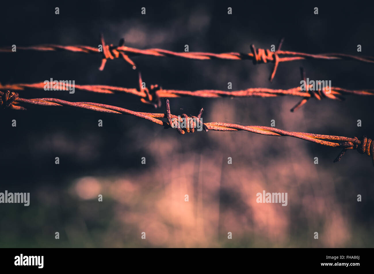 dangerous rusty barbed wire fence Stock Photo - Alamy