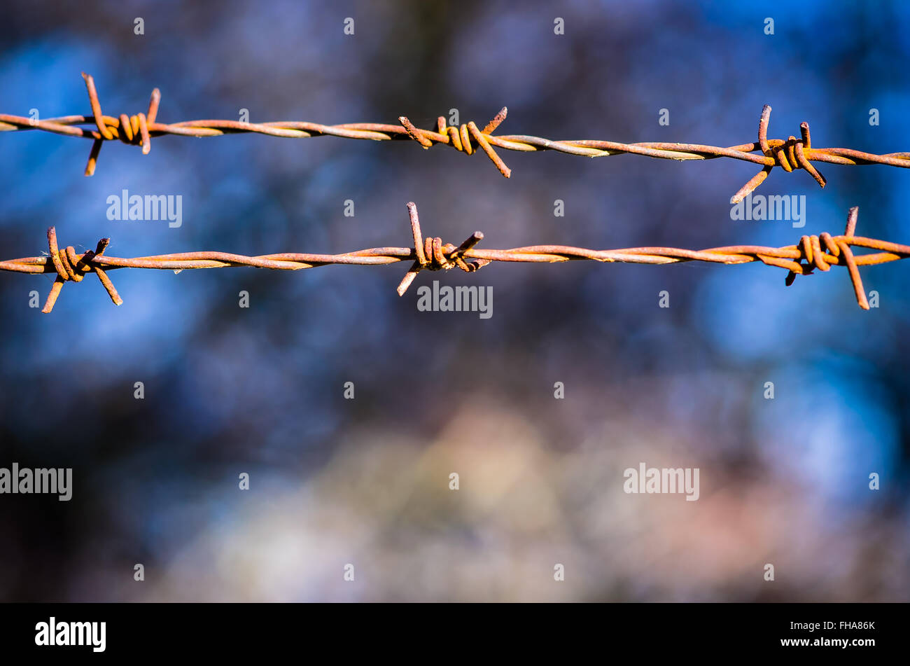 dangerous rusty barbed wire fence Stock Photo - Alamy