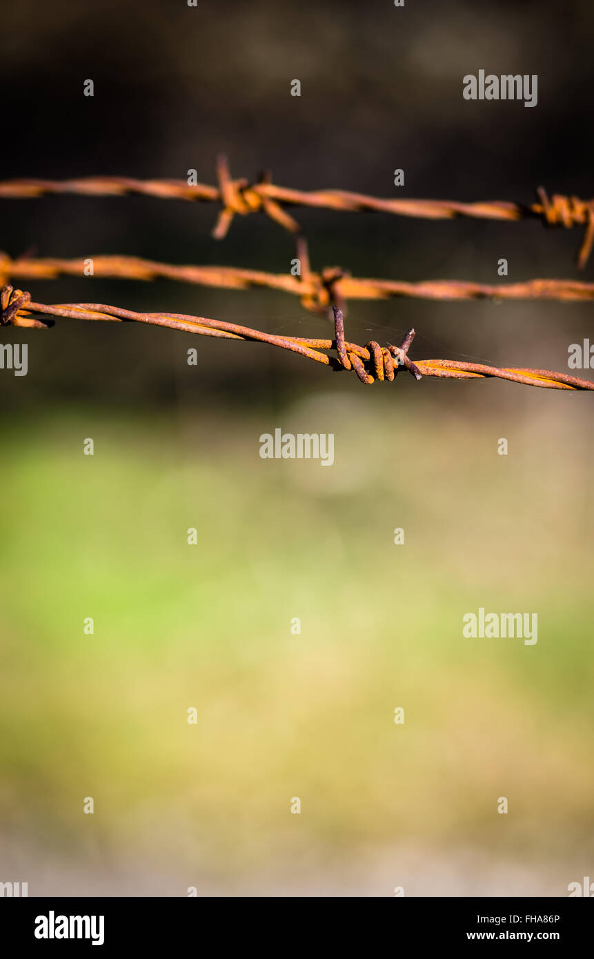 dangerous rusty barbed wire fence Stock Photo - Alamy