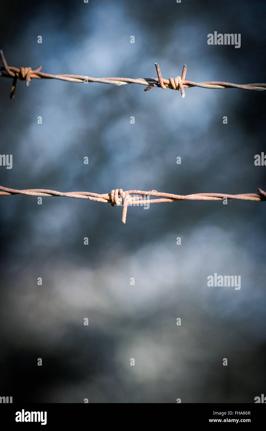 dangerous rusty barbed wire fence Stock Photo - Alamy
