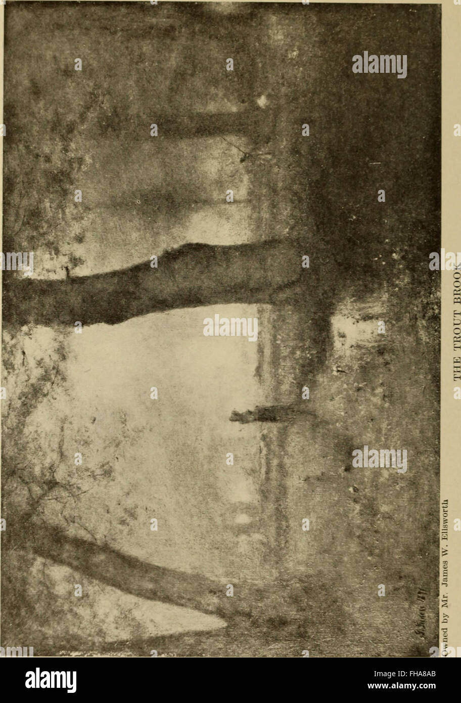 A 1917 biography of the American landscape painter George Inness ...