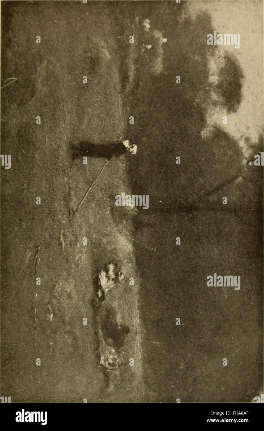 A 1917 biography that explores the life, artistic journey, and personal ...