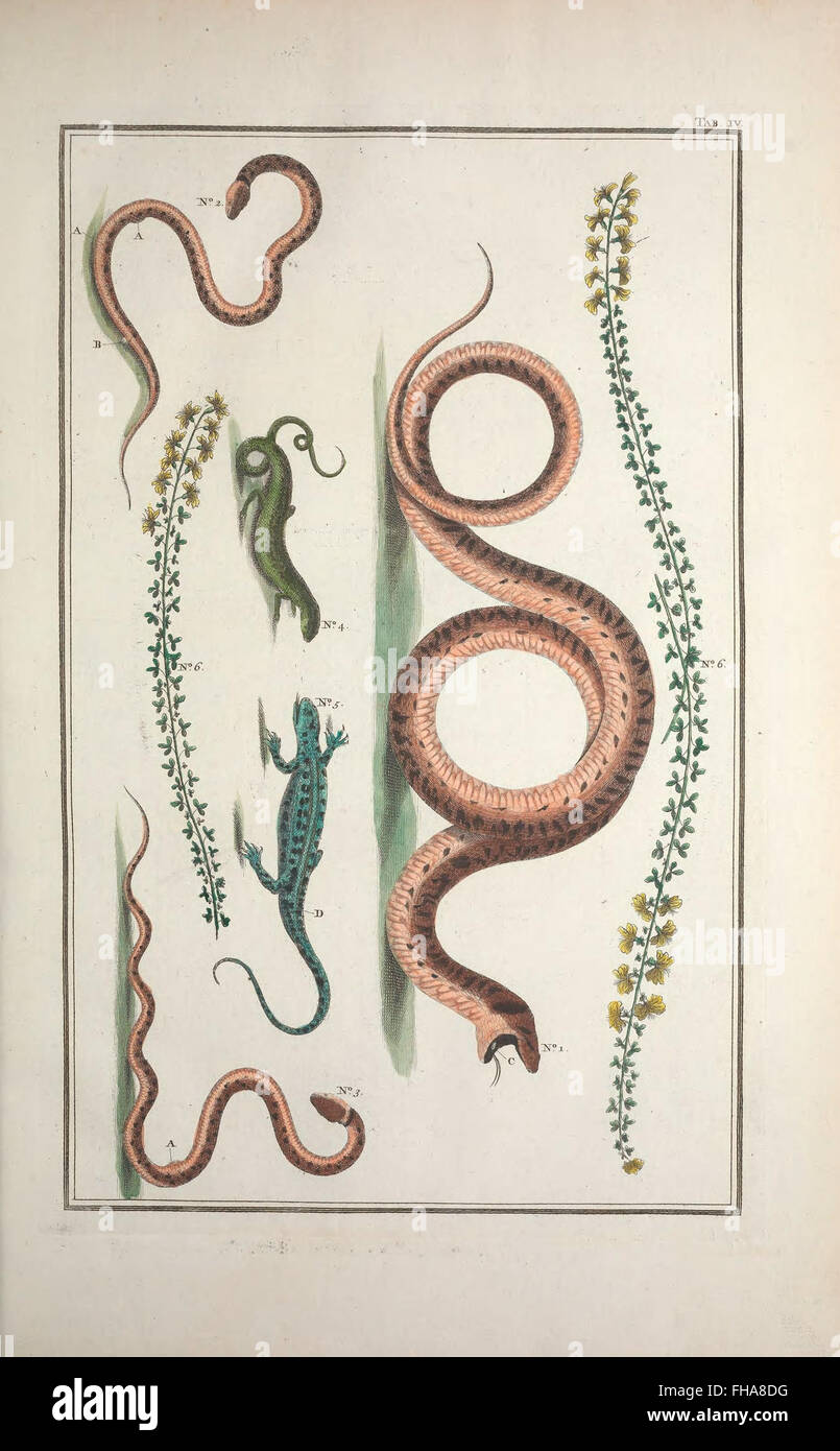 Detailed description of a comprehensive natural history collection with ...