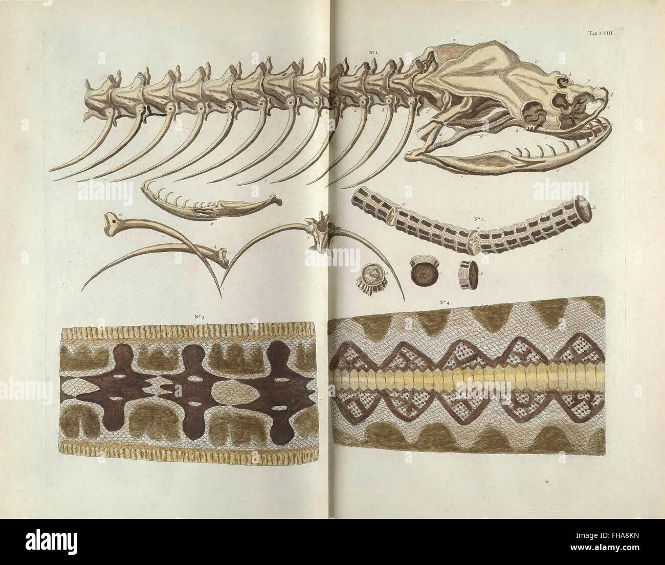 A comprehensive natural history work detailing the natural world with ...
