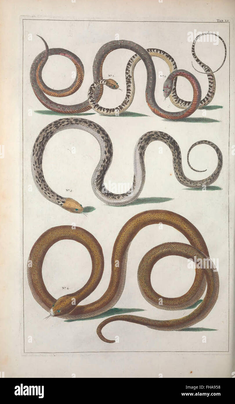 A comprehensive description of the most valuable natural history ...