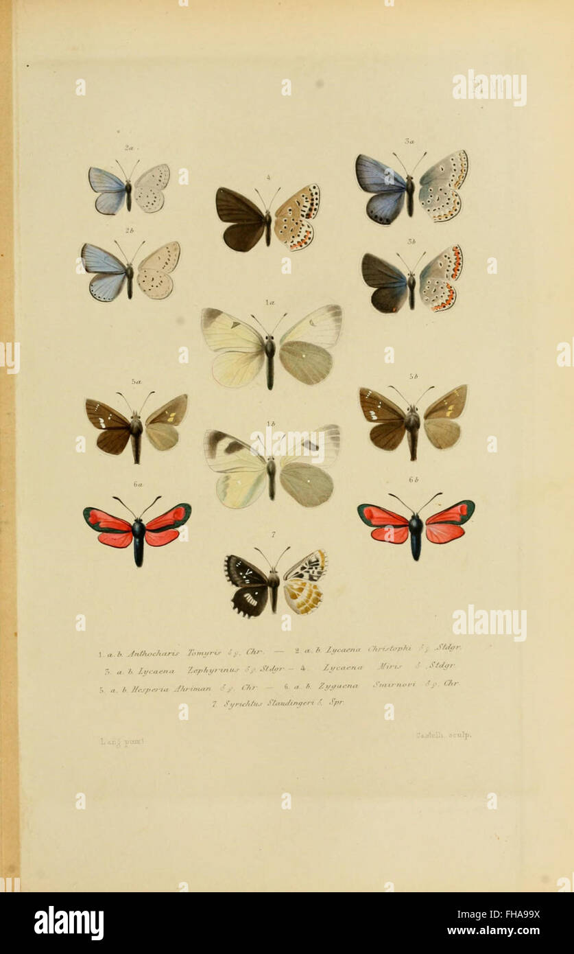 Memoirs on Lepidoptera, focusing on butterflies in Asia, particularly ...