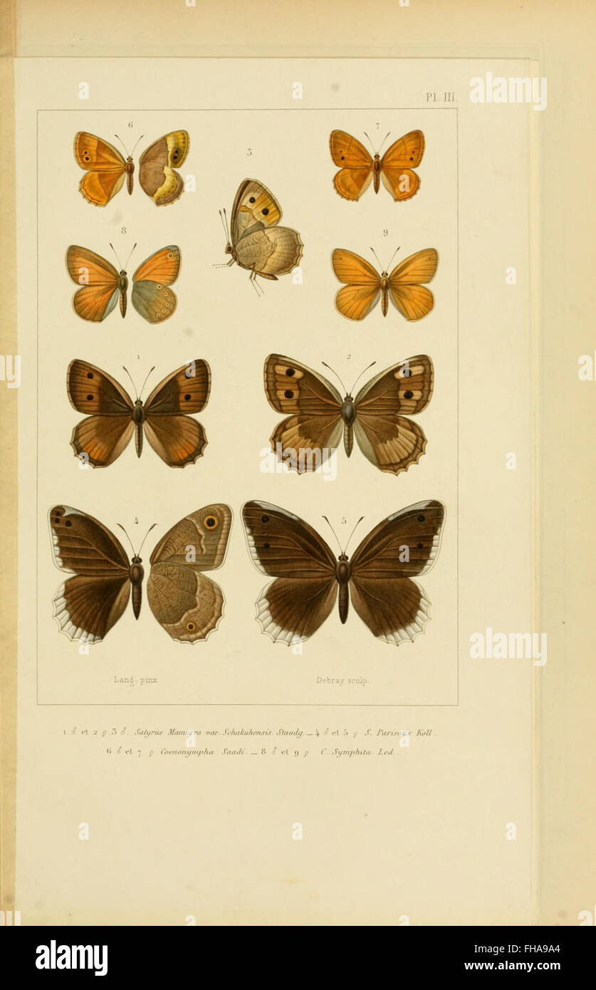 Memoirs on Lepidoptera (butterflies) from Asia and Russia, housed in ...