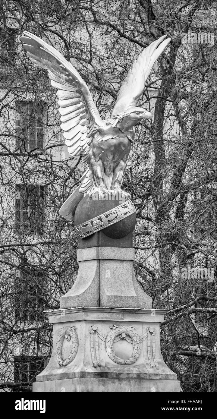 Talons legs golden eagle hi-res stock photography and images - Alamy