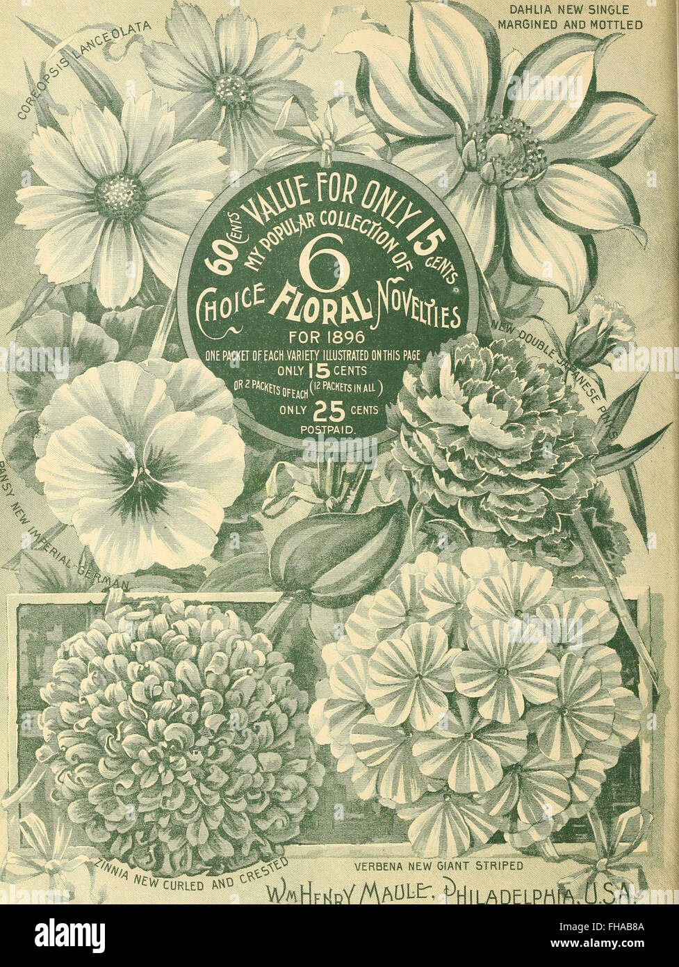 A seed catalogue from the year 1896, showcasing various plants and ...