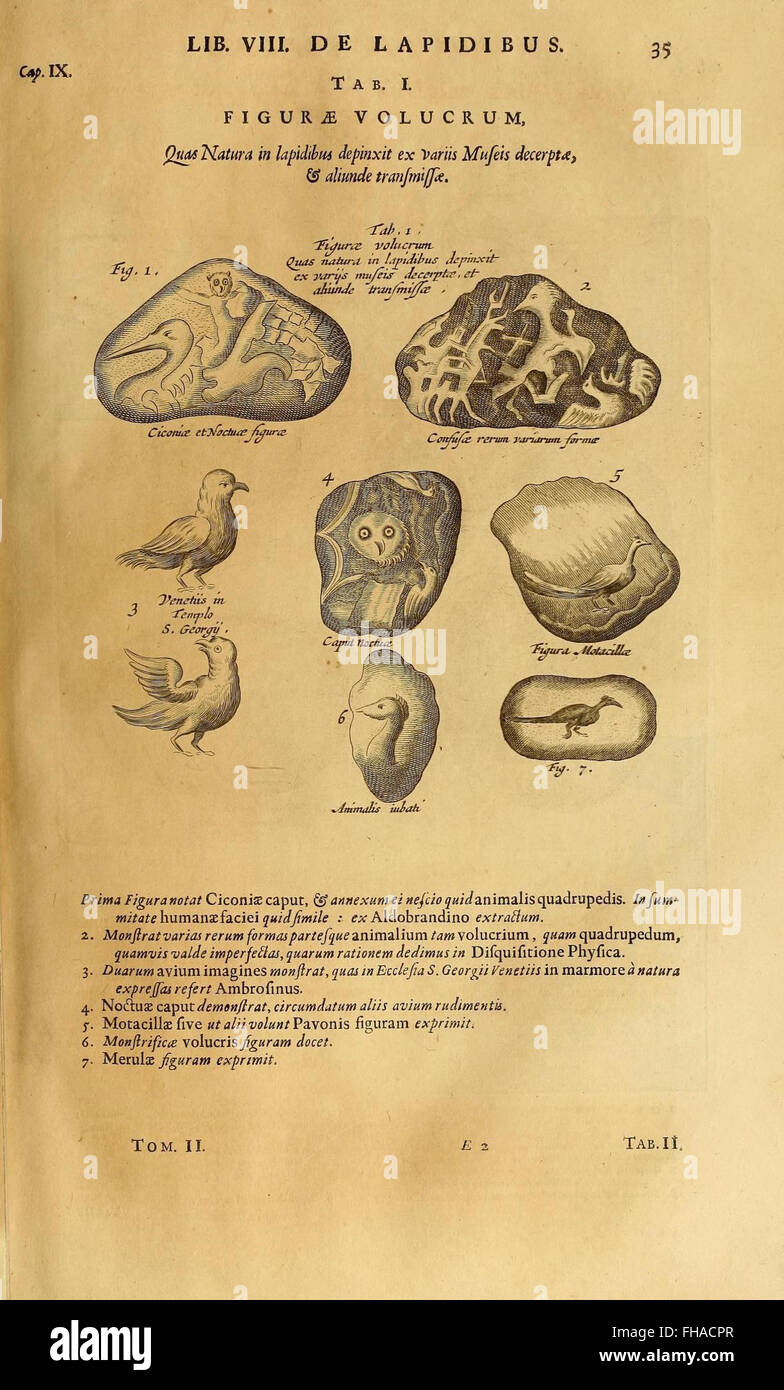 An early work on the study of subterranean worlds, focusing on geology ...