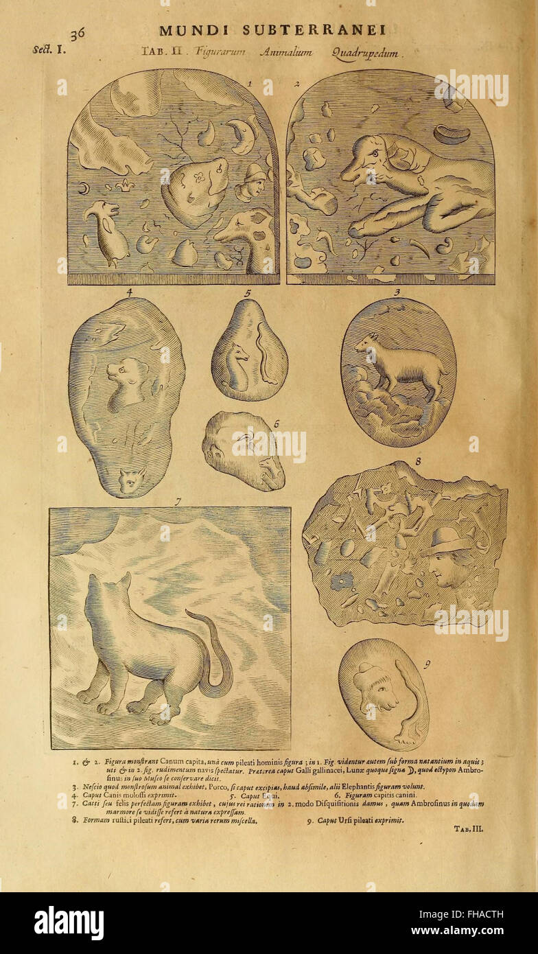 An early work in natural history and geology, focusing on subterranean ...