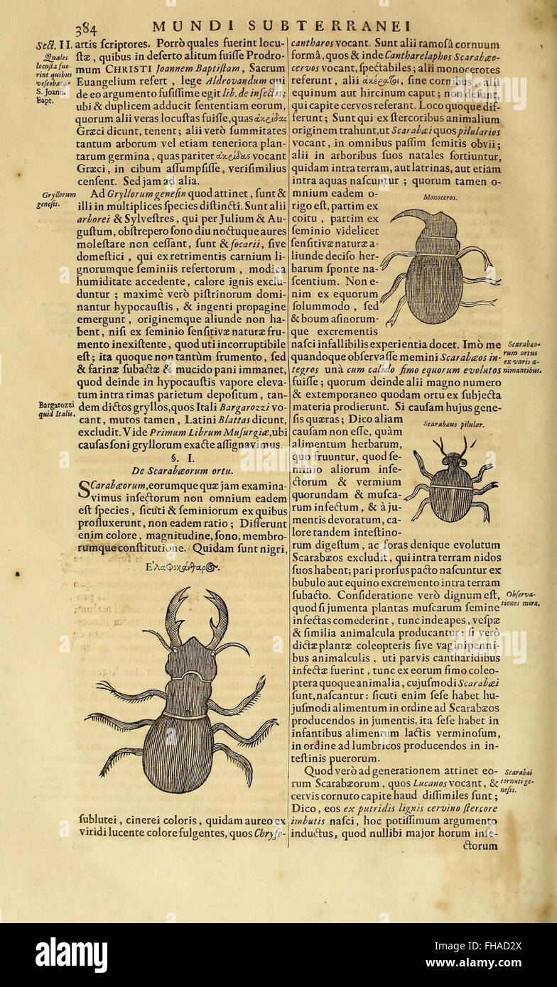 An early natural history work discussing the subterranean world ...