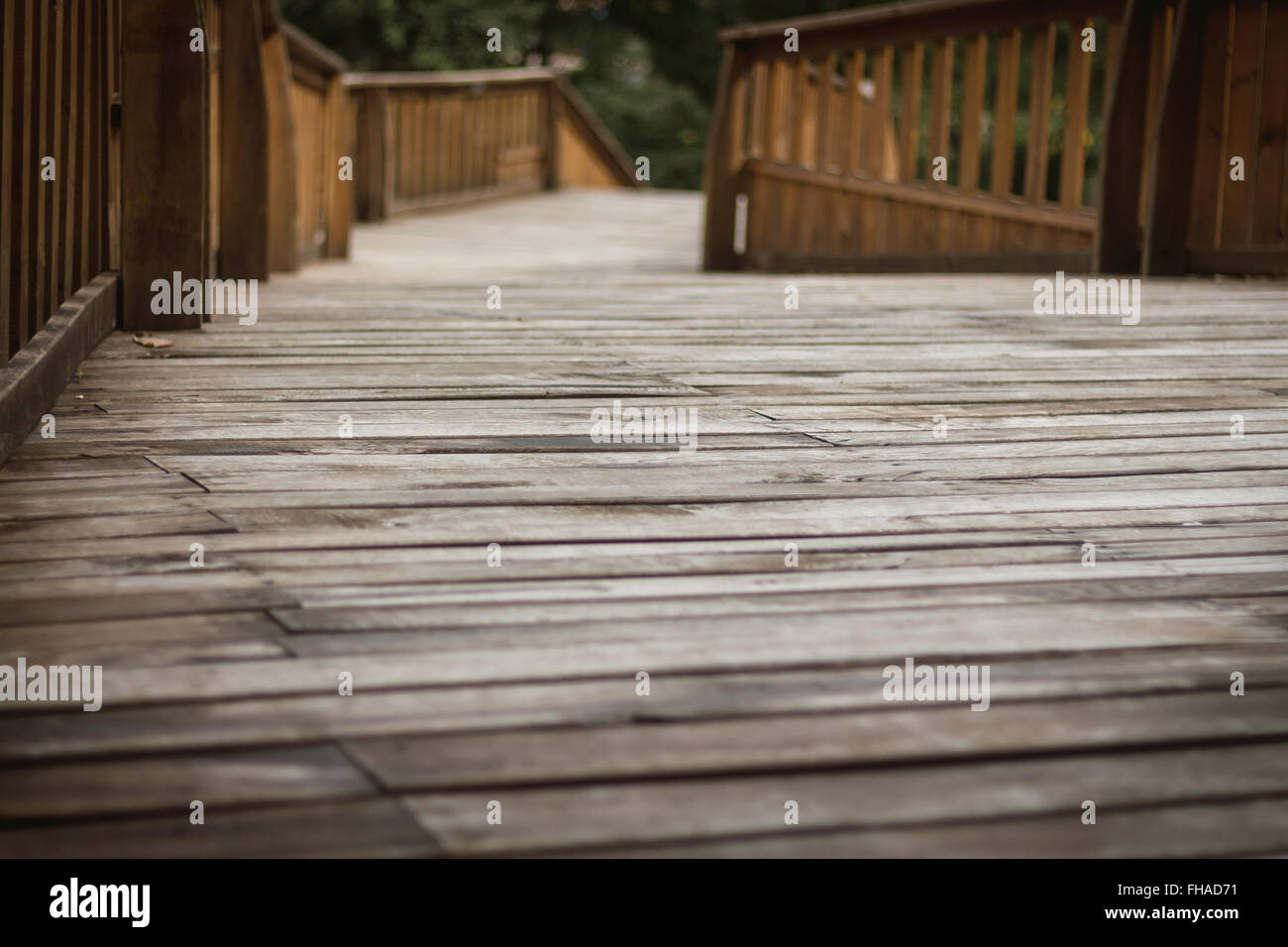 Walk way boardwalk path nature hi-res stock photography and images - Alamy