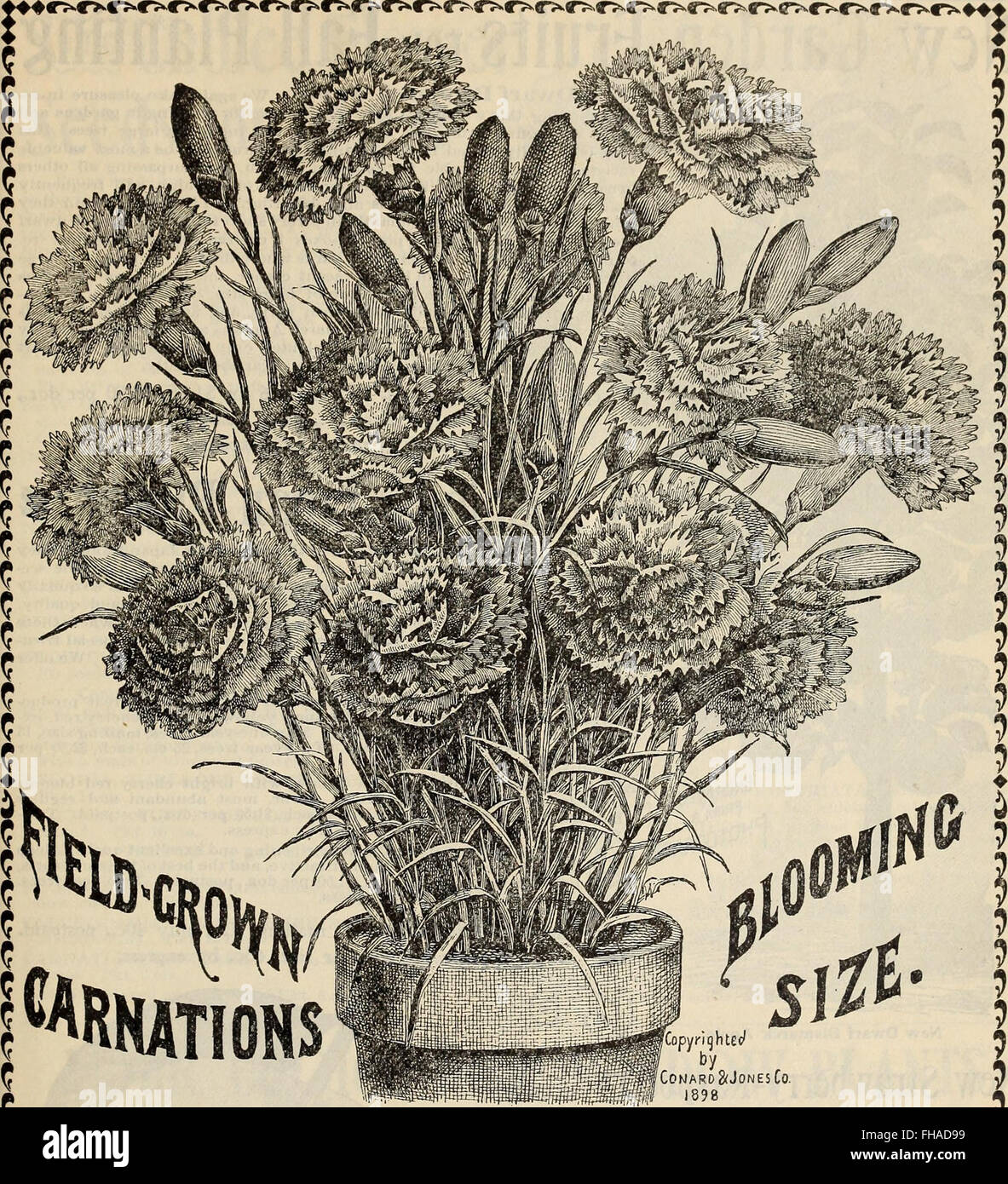 Ornate floral guide page hi-res stock photography and images - Alamy