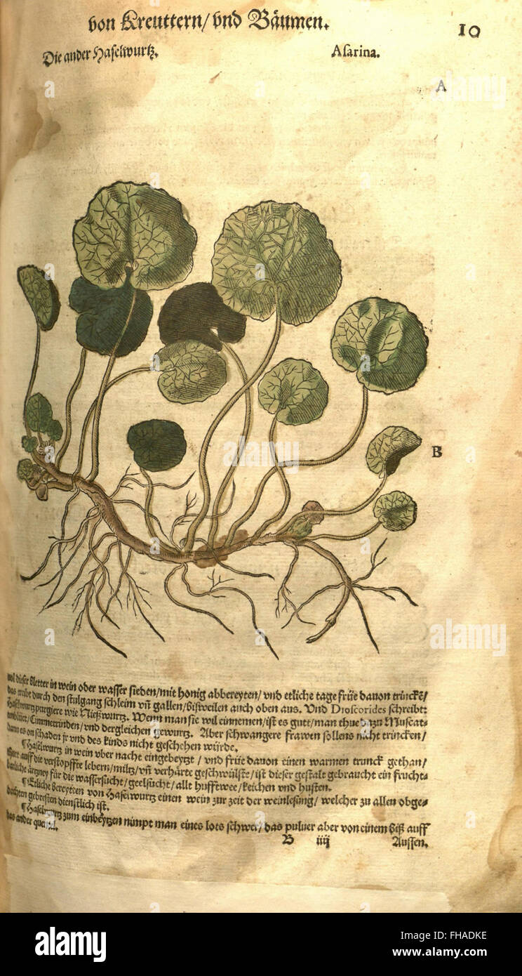 An early 1800s medical dictionary of materia medica, focusing on the ...