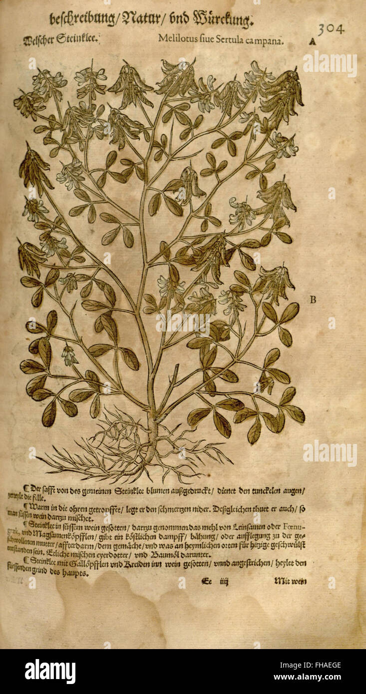 A comprehensive botanical text detailing medicinal plants, based on the ...