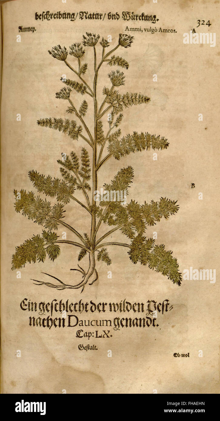An early botanical work detailing the medicinal properties of plants ...