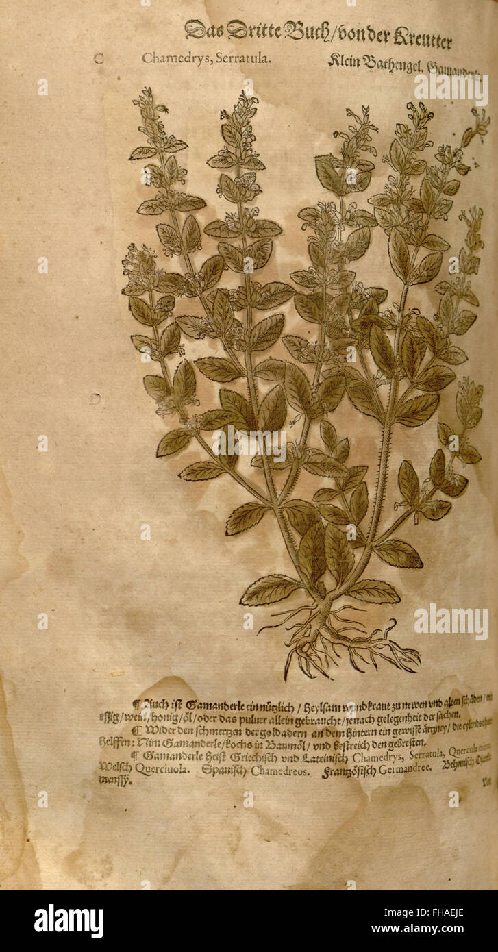 An early work on pharmacognosy, focusing on Dioscorides Pedanius ...