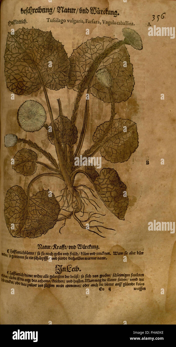 The 'New Kreüterbuch,' focusing on botany and materia medica, featuring ...