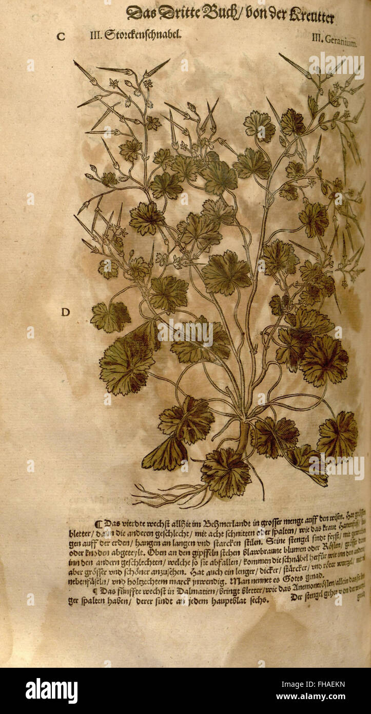 A detailed study of early medical botany and pharmacognosy based on ...