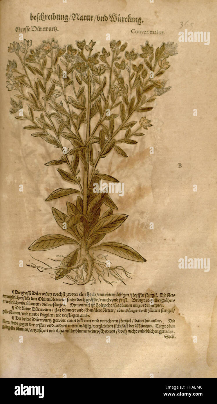 A historical work documenting early botany and pharmacognosy, including ...