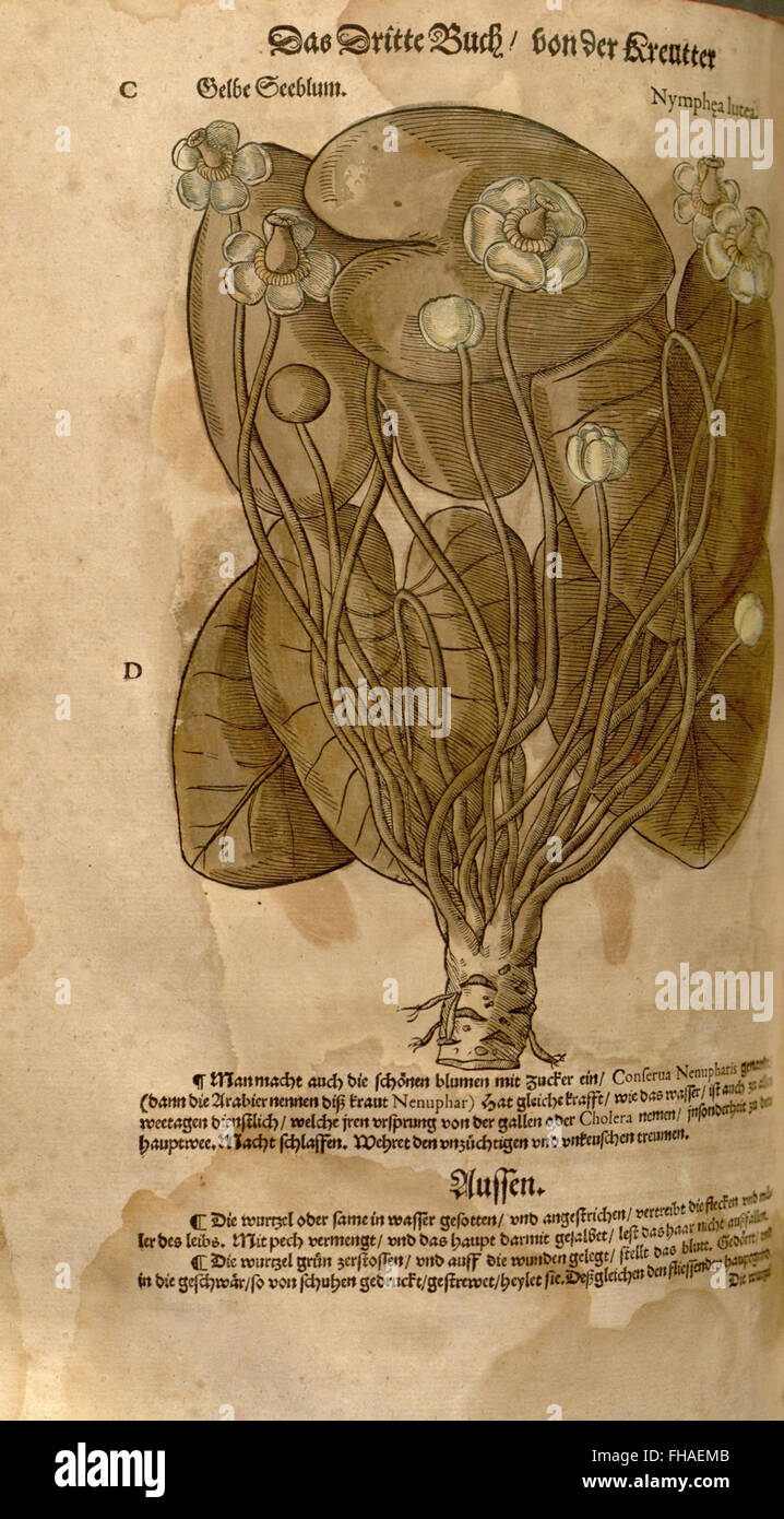 An early 1800s work detailing the materia medica of Dioscorides ...
