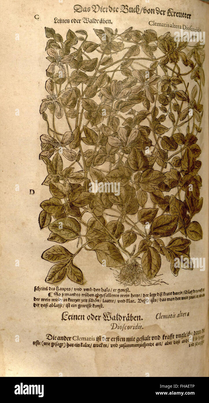 A comprehensive early medicinal plant compendium, based on Dioscorides ...
