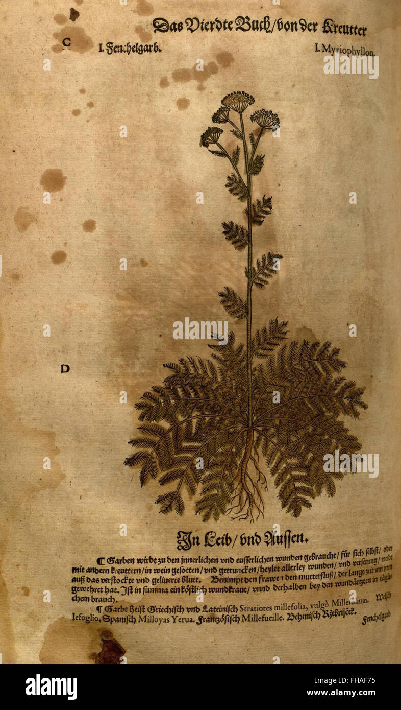 An exploration of early medicinal plant studies, referencing ...