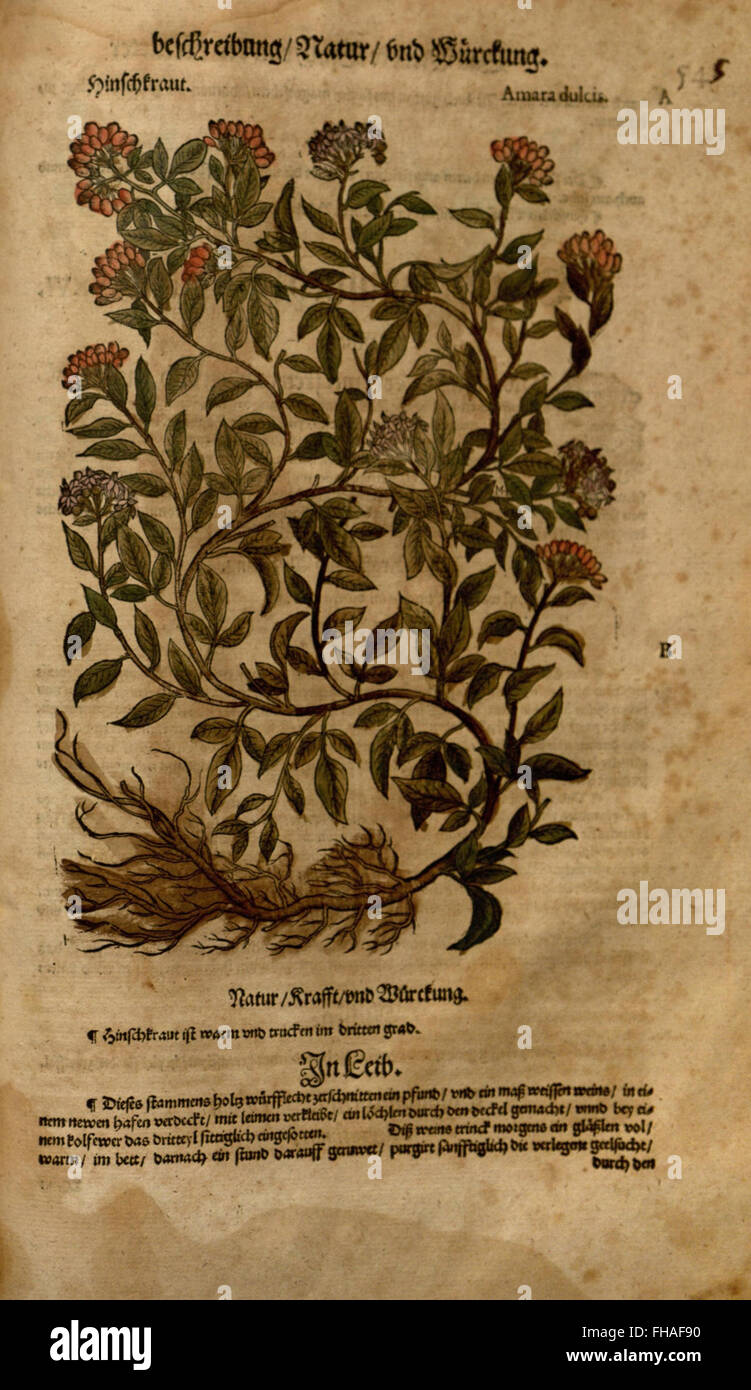 An early work on medicinal plants and pharmacognosy by Dioscorides ...