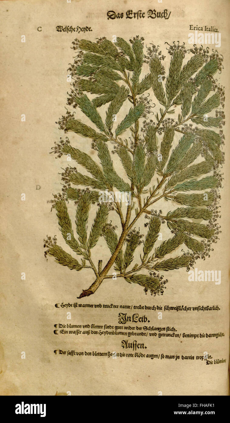 An early work on botany and medical materia medica, exploring the ...