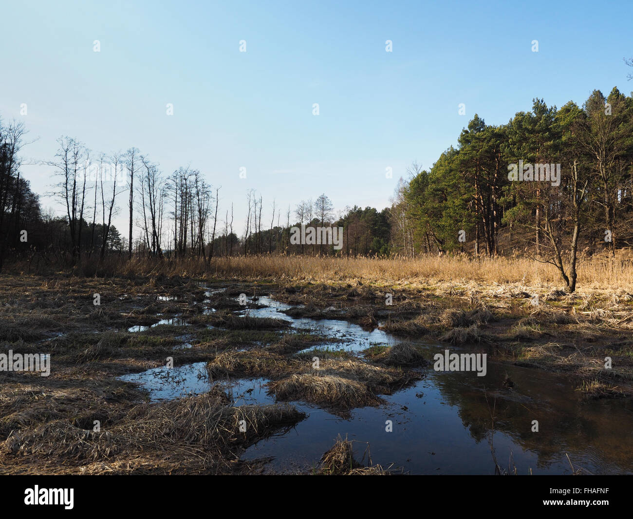 Flowage near Zagnansk, swietokrzyskie, Poland Stock Photo - Alamy