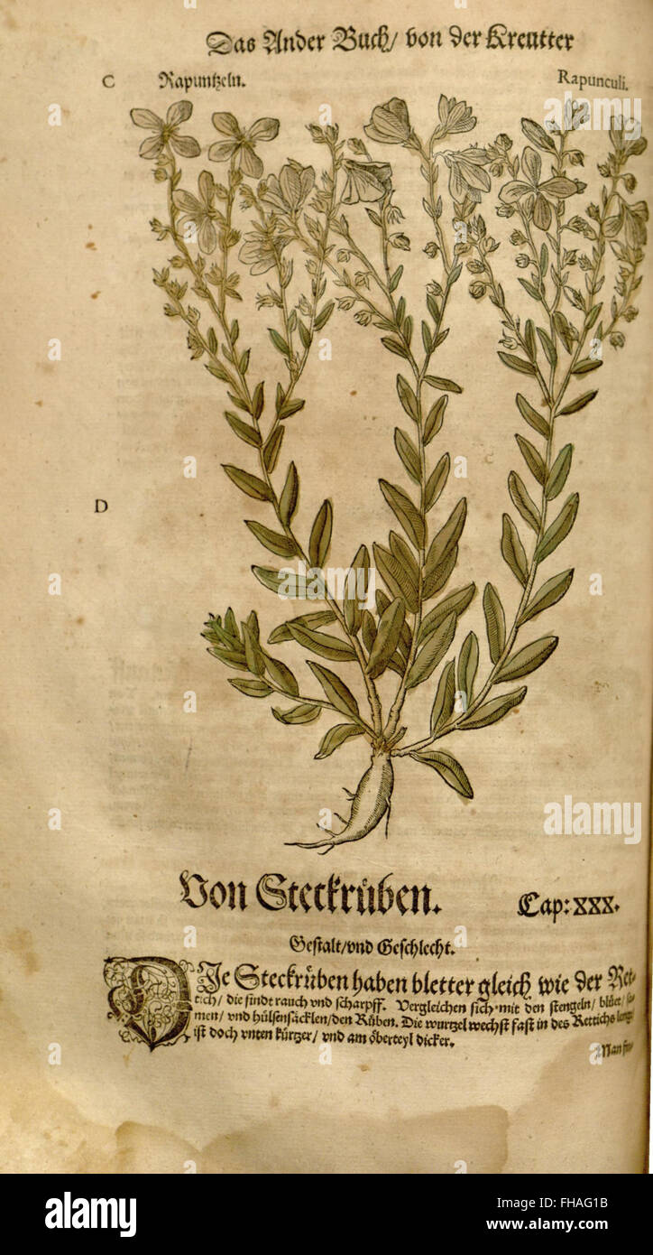 A historical herbal and medicinal plant guide, drawing from the work of ...