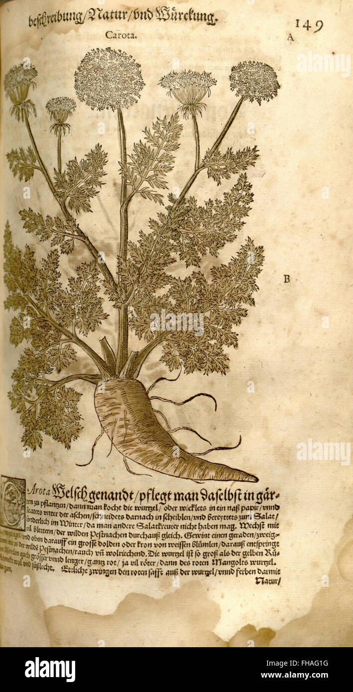 A botanical and medical dictionary on plants and substances used in ...