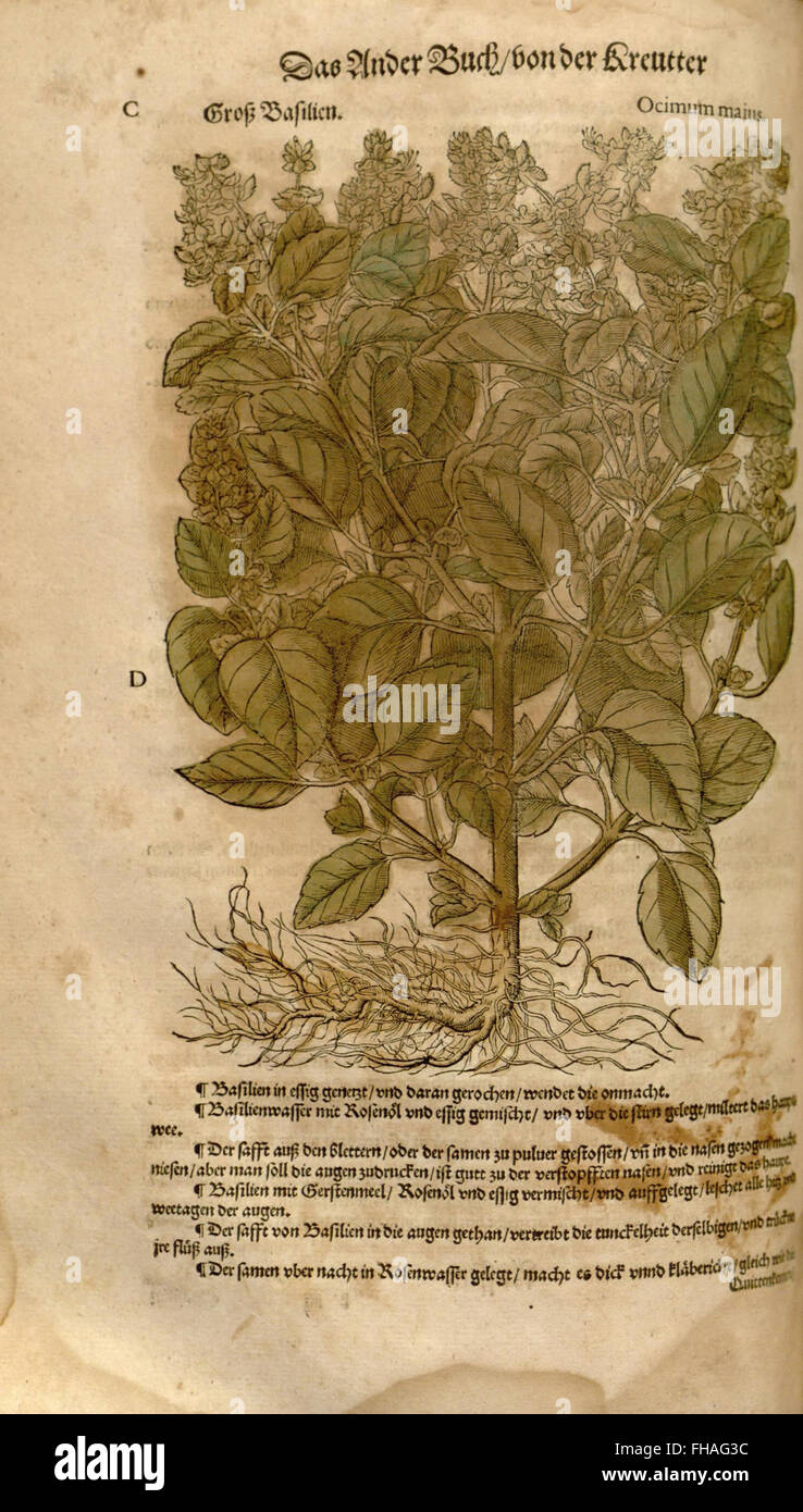 New Herbal Book, a historical botanical text covering medicinal plants ...