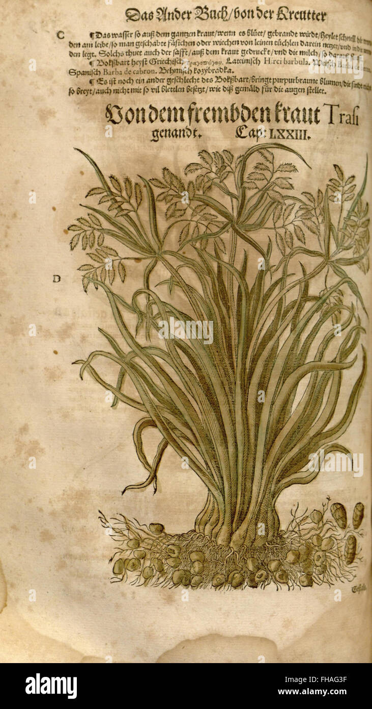 A translation of Dioscorides Pedanius' 'De Materia Medica', an ...