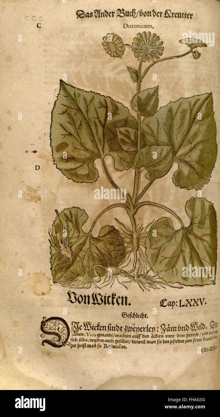 A botanical dictionary and materia medica text from early works up to ...