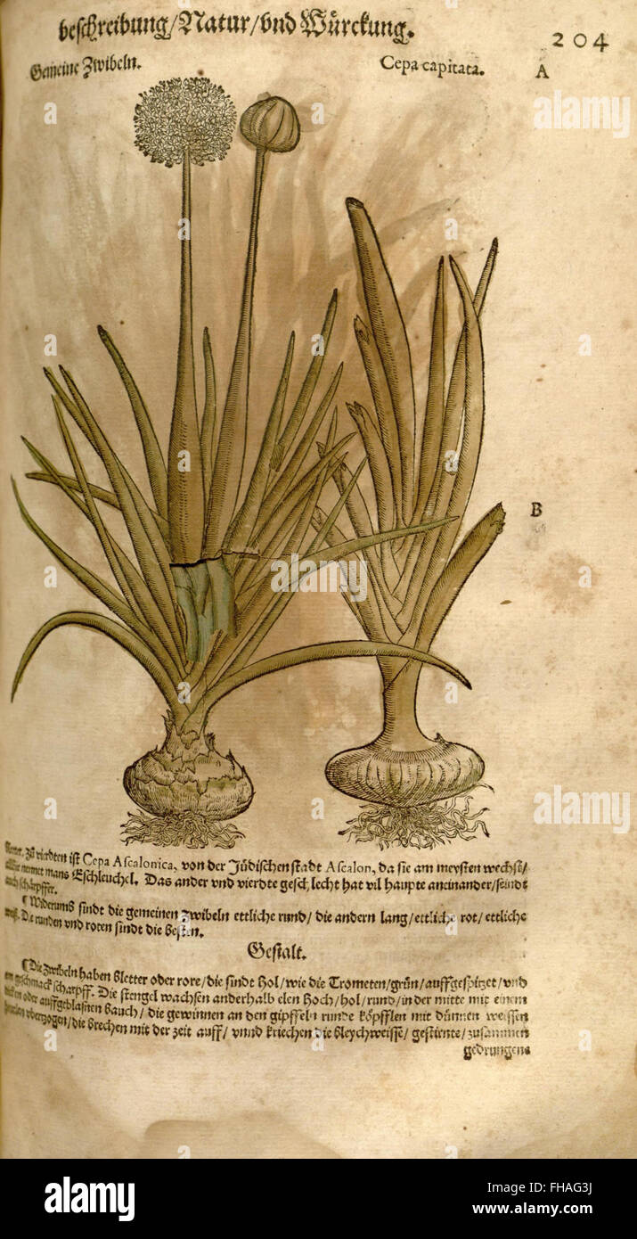 A historical work documenting early botany and pharmacognosy, including ...