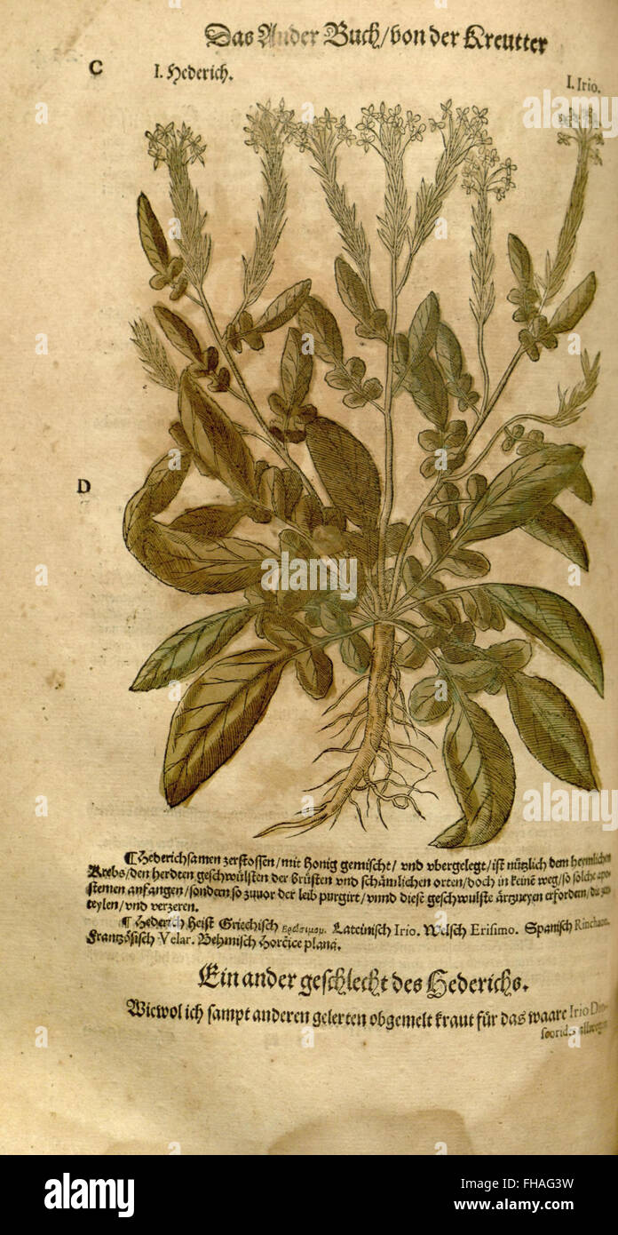 A botanical and medicinal reference work focusing on the materia medica ...