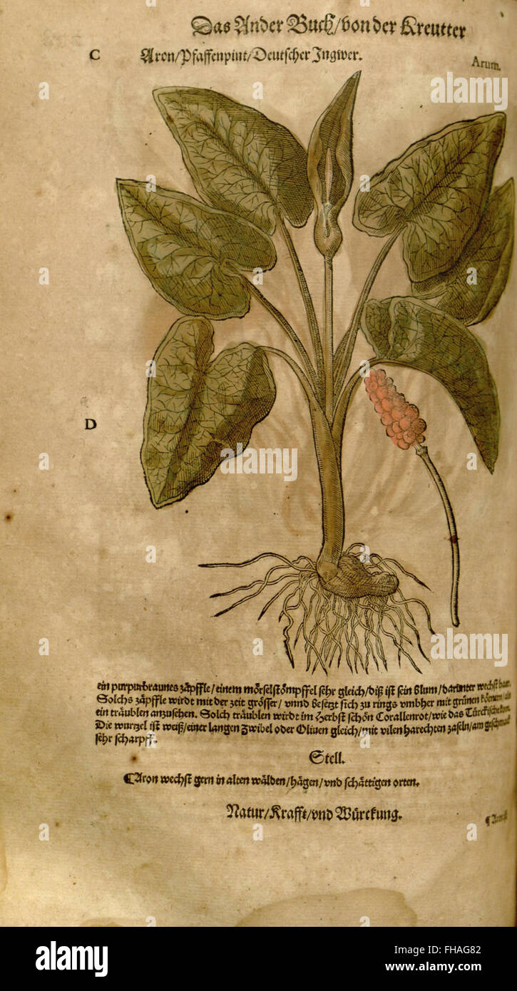 A botanical dictionary with medical focus, including early works on ...
