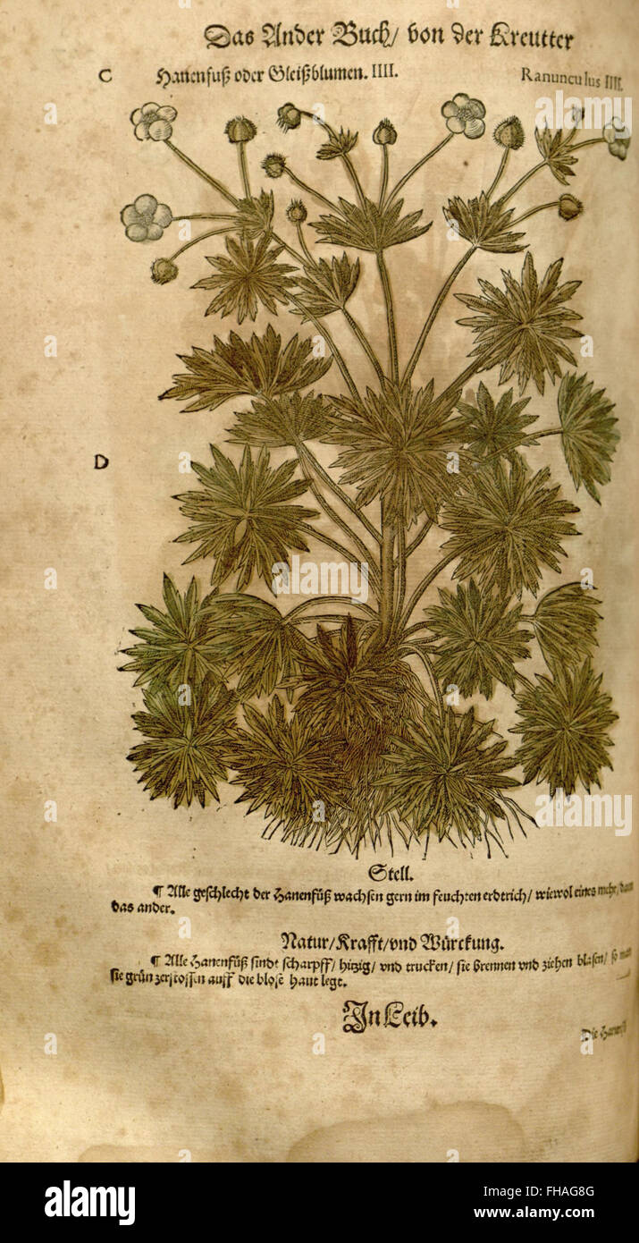 An early botany and medical work, focusing on the materia medica and ...