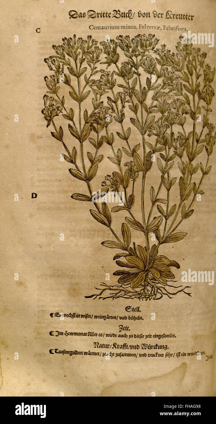 New Kreüterbuch, Botany, Medical De Materia Medica Dioscorides Pedanius ...