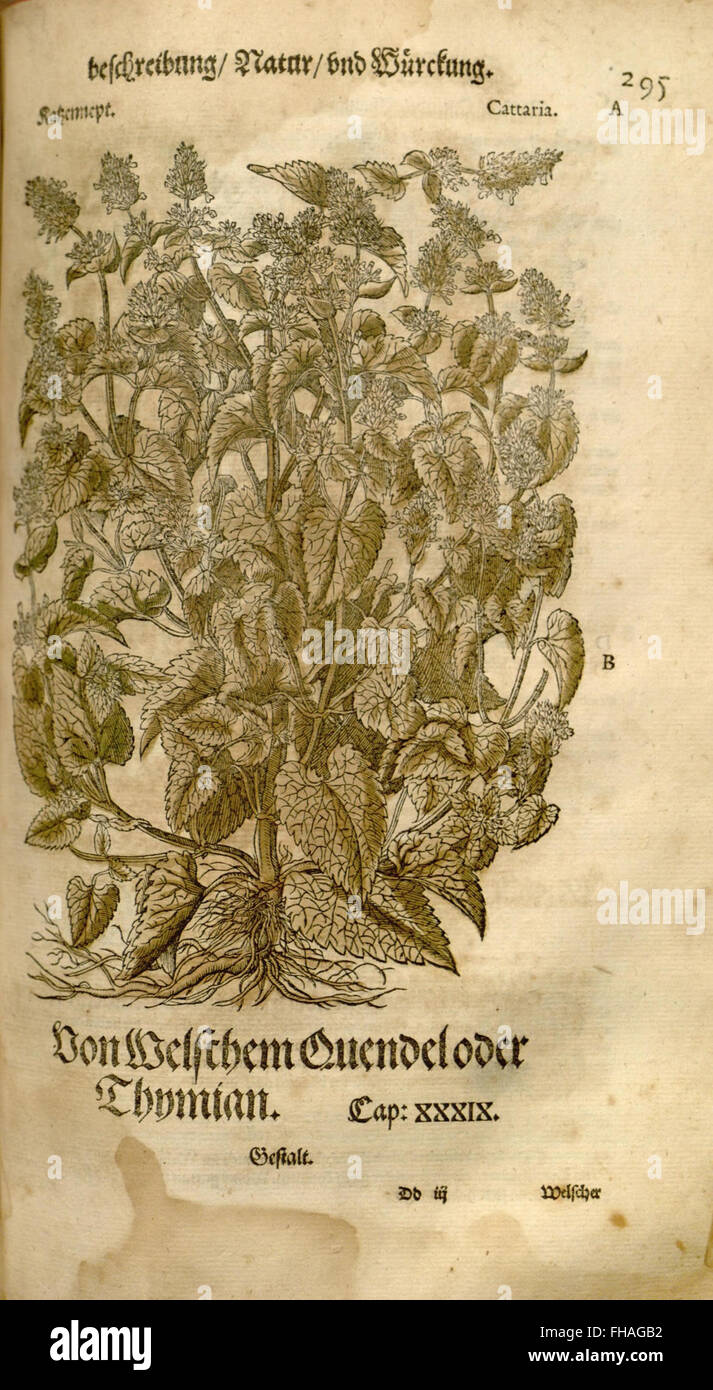 An early 1800s botanical text on medicinal plants and materia medica ...